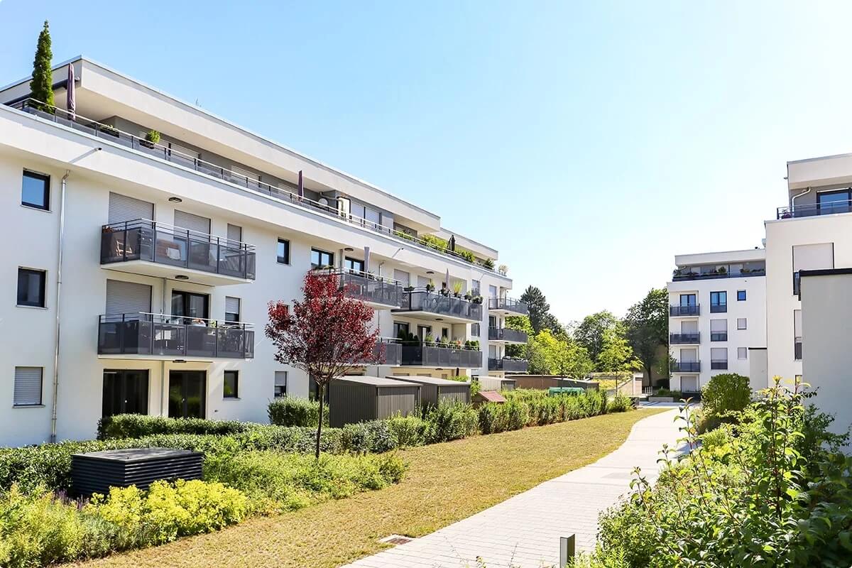 CABINET THOMAS à Allaire près de Redon - Nos réalisations